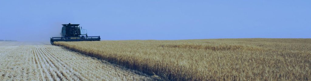 Understanding MIP vs NPT Fittings: Key Differences