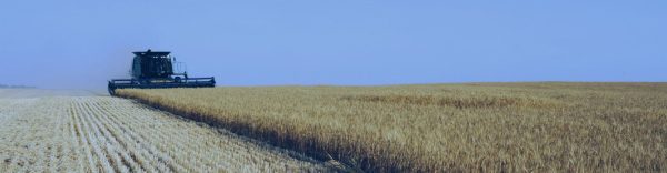 Understanding MIP vs NPT Fittings: Key Differences